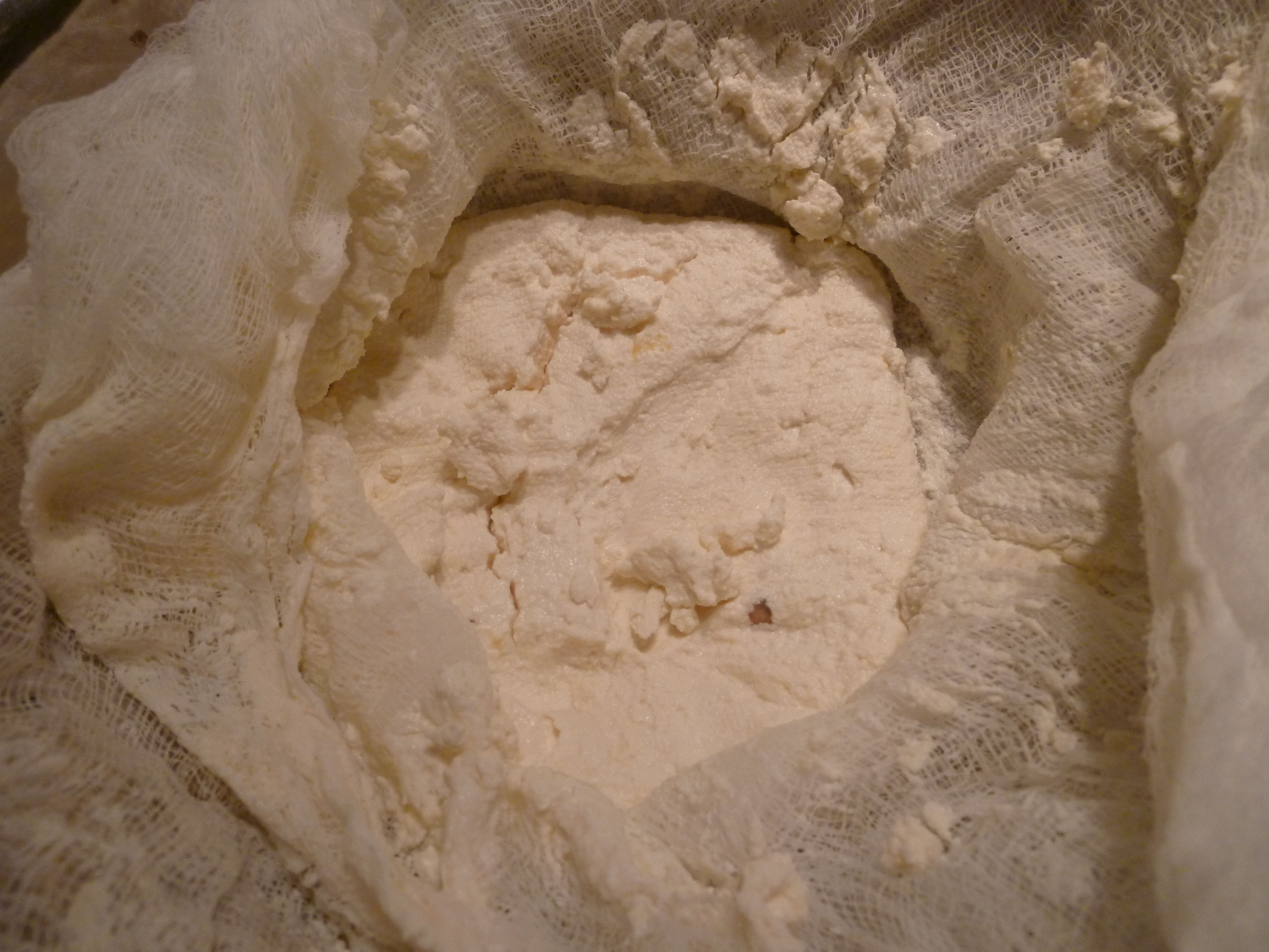Goat Milk Ricotta Cheese